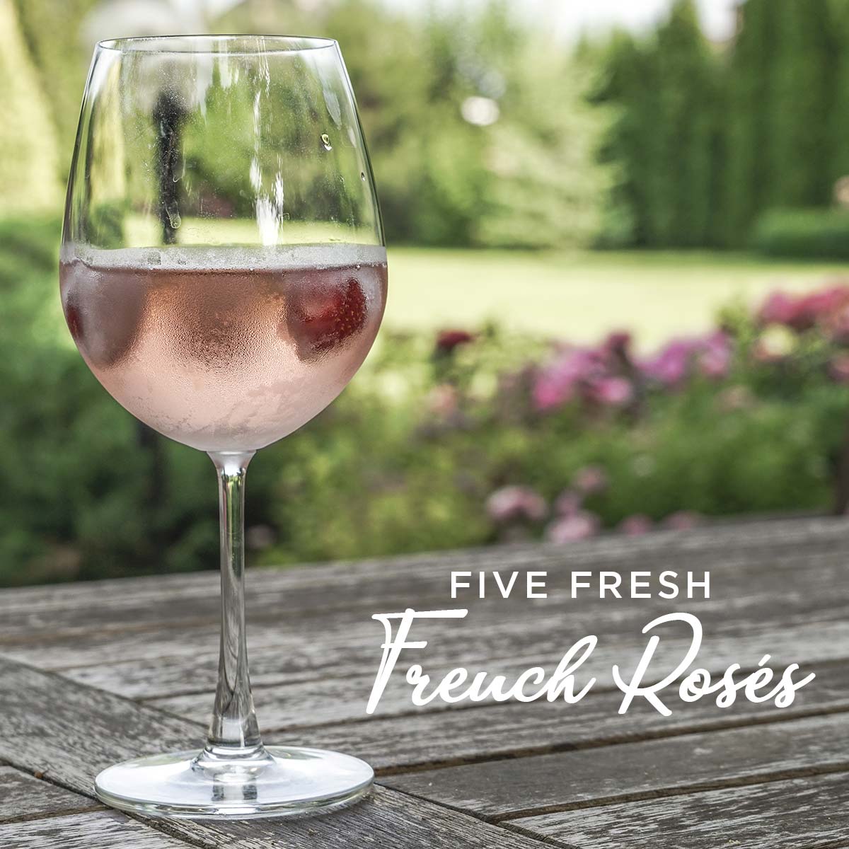 WineMadeEasy.com, online wine & spirits store of Premier Group in ...