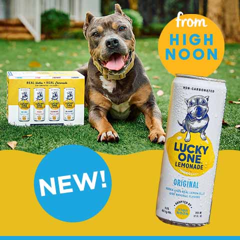 Lucky One Lemonade by High Noon at WineMadeEasy.com